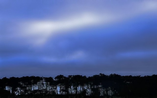 CABS0102 Storm over Monterey Pines, Big Sur, California (2006 ...